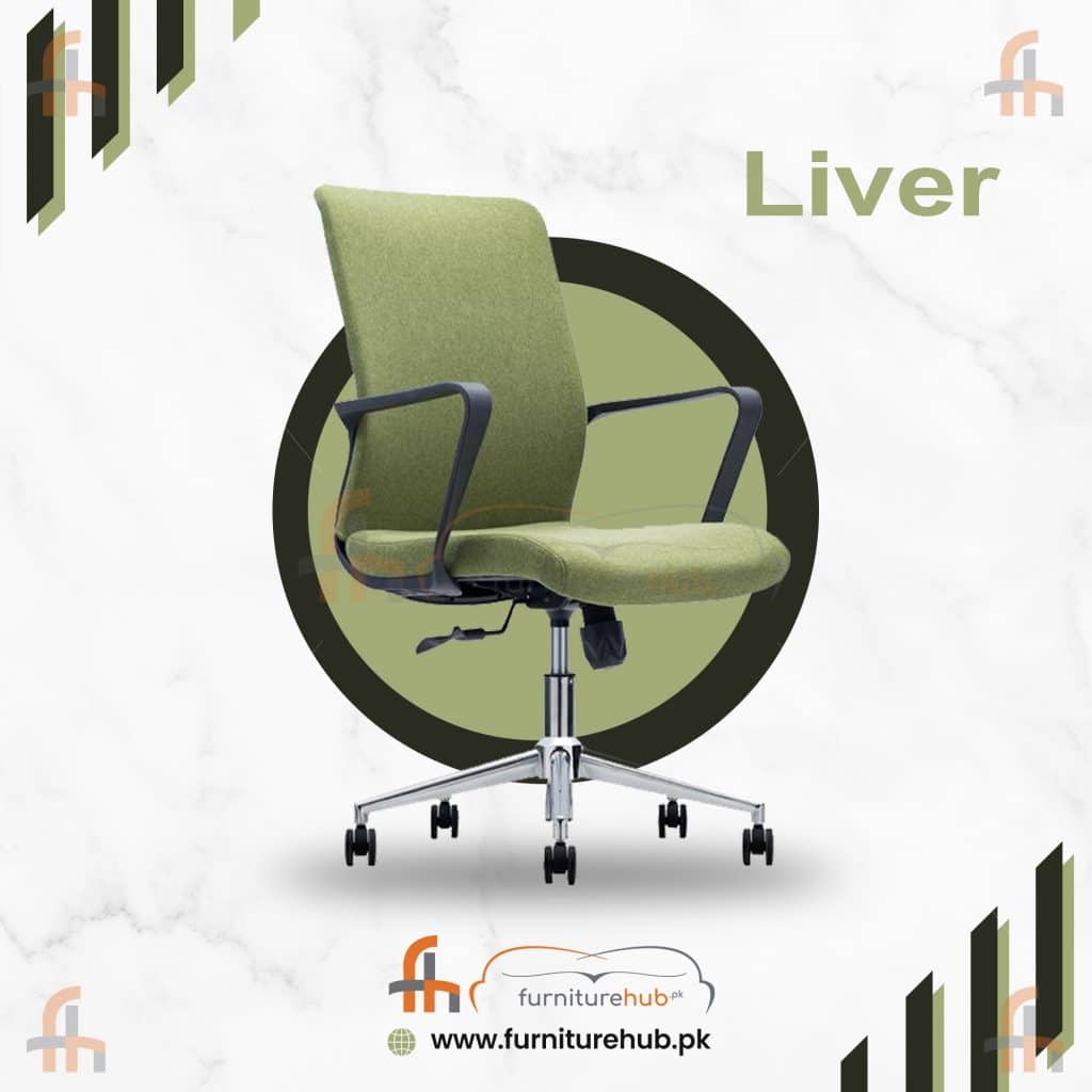 Liver Office Chair With Comfort Back Support On Sale At Furniturehub.Pk